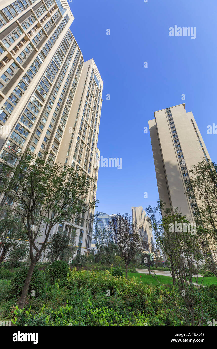 Slap skyscrapers on your back Stock Photo - Alamy