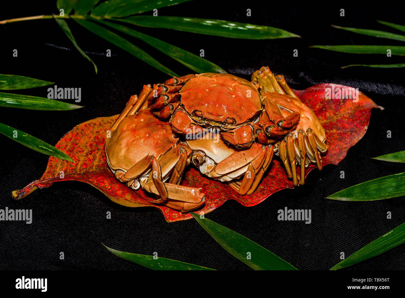 Steamed crab leaves hi-res stock photography and images - Alamy