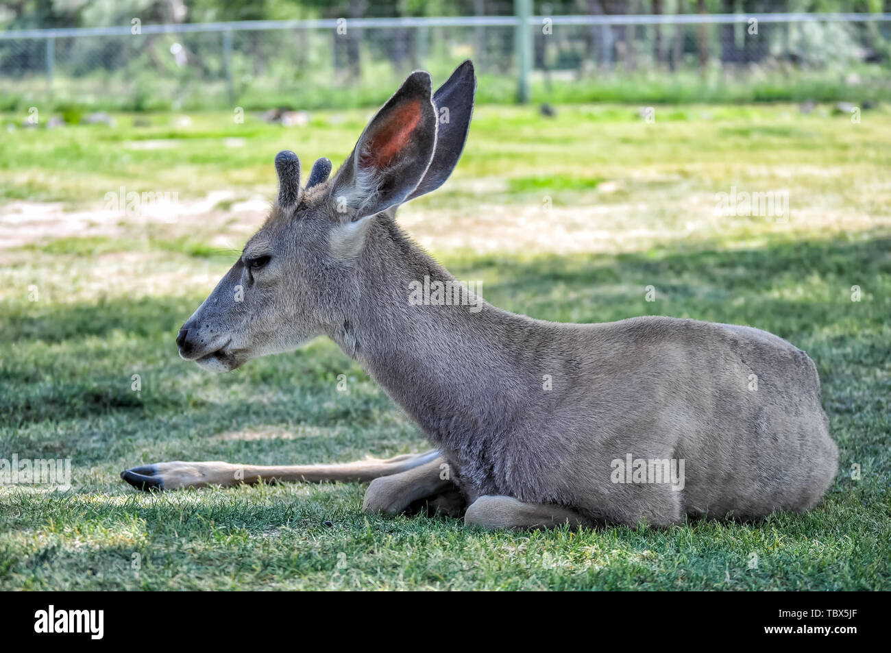 Parks and green spaces hi-res stock photography and images - Alamy