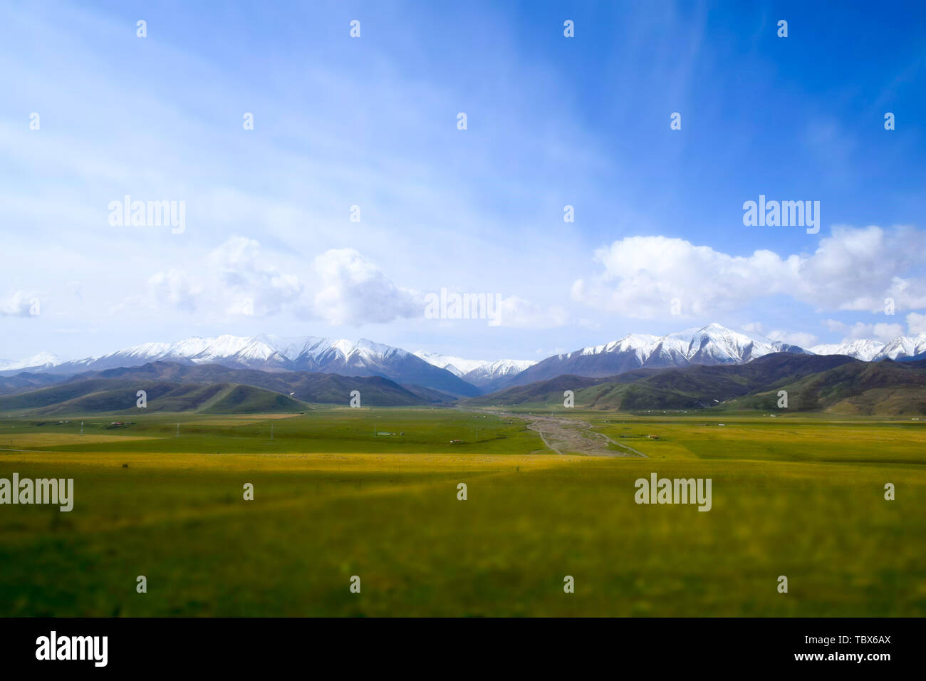 Blue Sky Prairie Snow Peak, filmed on a self-driving trip to Qinghai ...