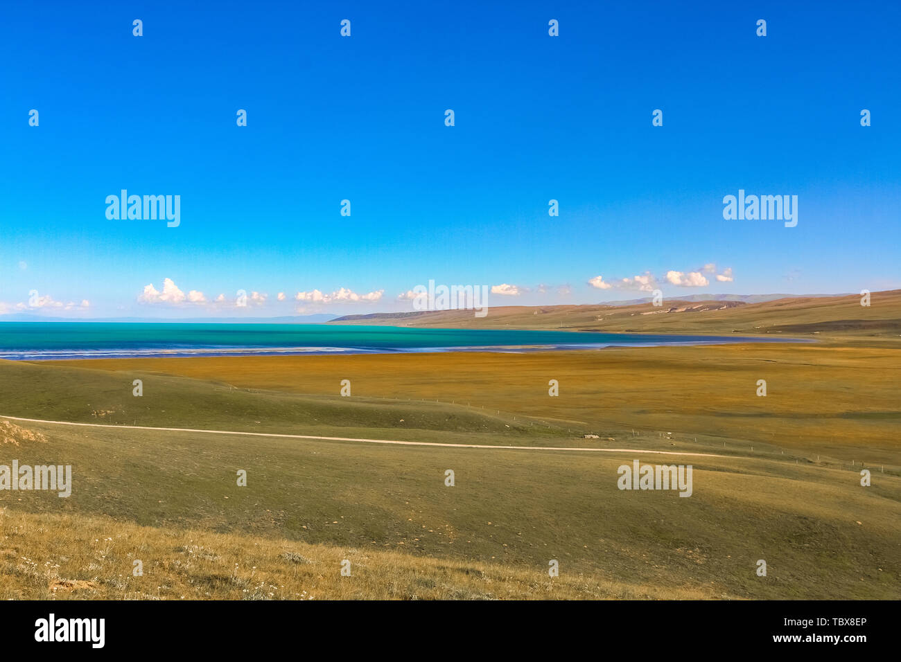 Qinghai lake qinghai lake scenery scenery around the lake hi-res stock ...