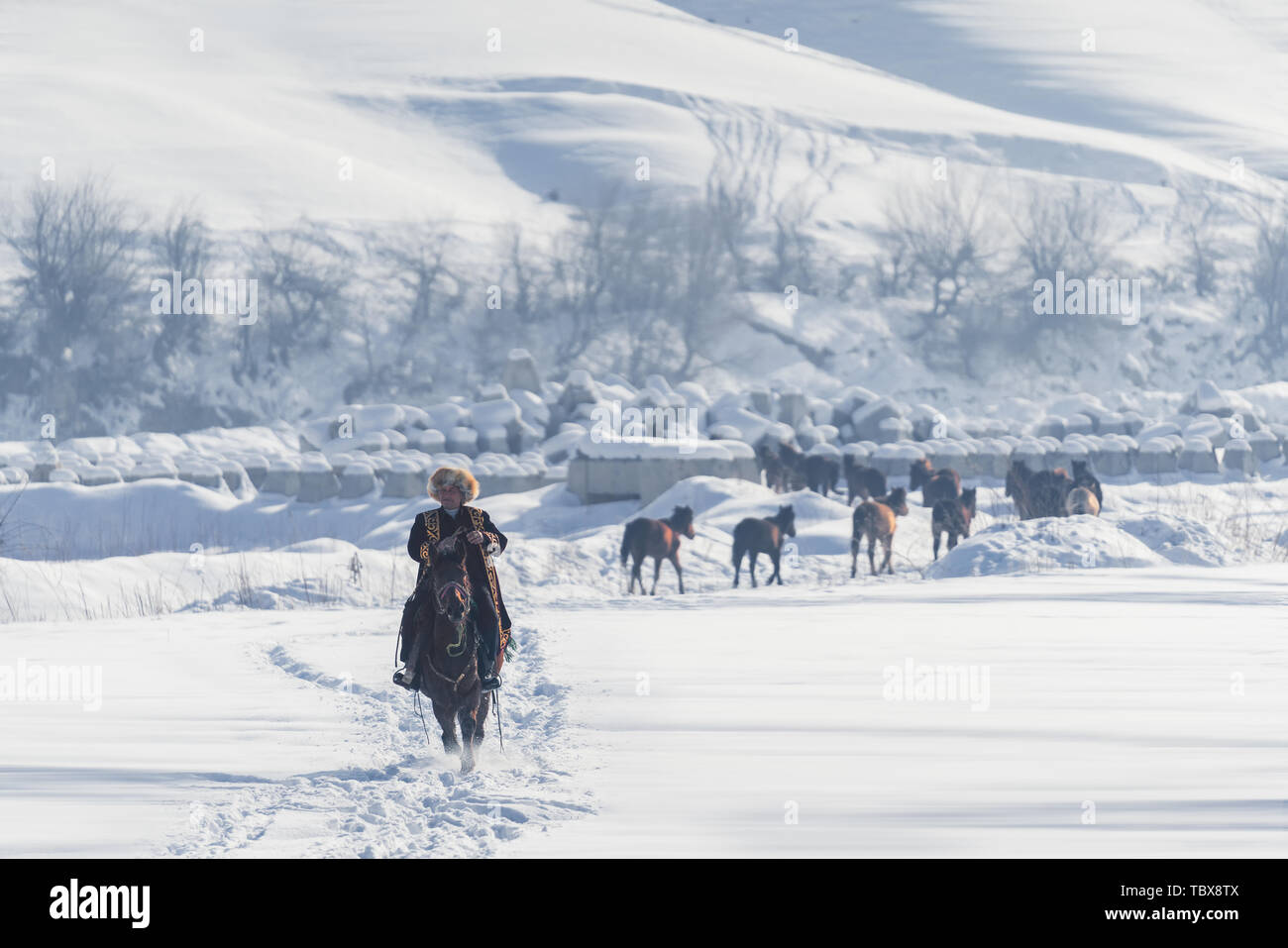 The Kazakh eagle tamer and his eagle Stock Photo - Alamy