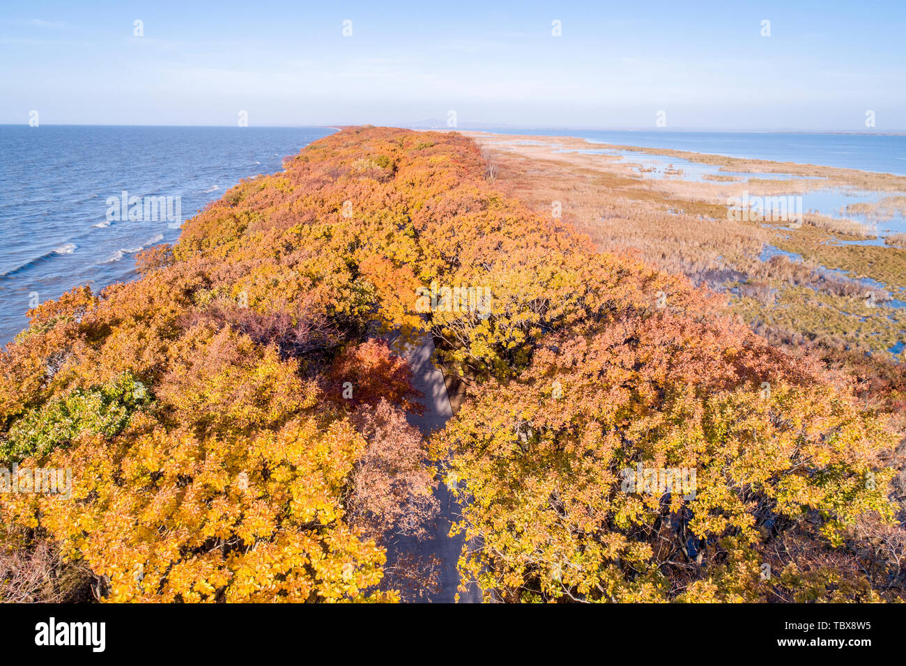 Sino-Russian border lake Xingkai lake autumn color Stock Photo - Alamy