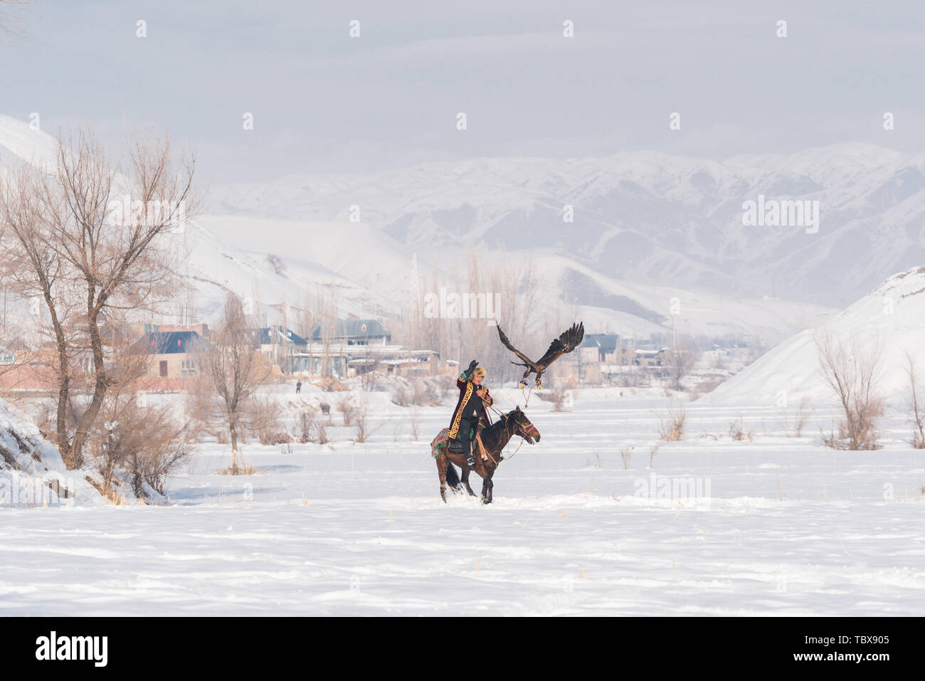 Taming eagle hi-res stock photography and images - Alamy