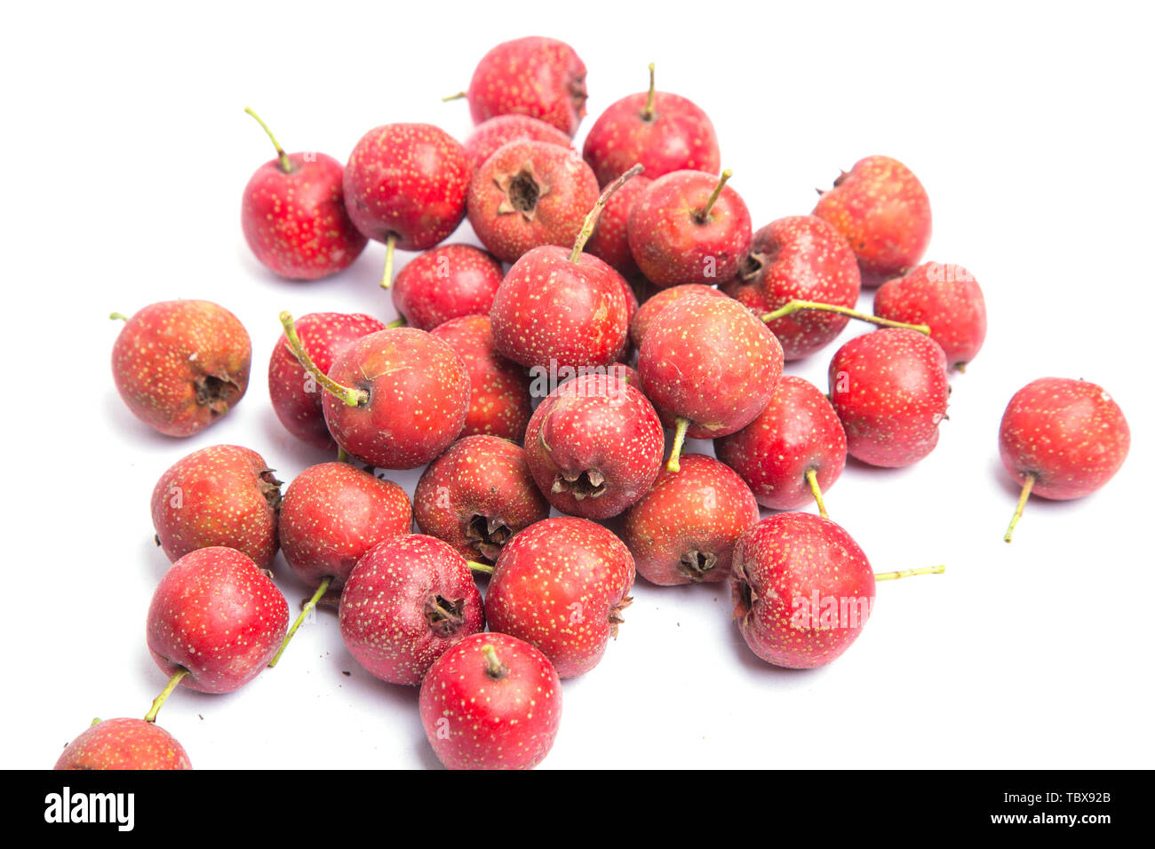 Real hawthorn hi-res stock photography and images - Alamy