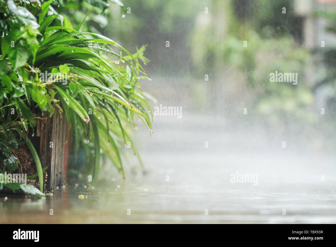 Rain rain and rain the ground is hazy rain hi-res stock photography and ...