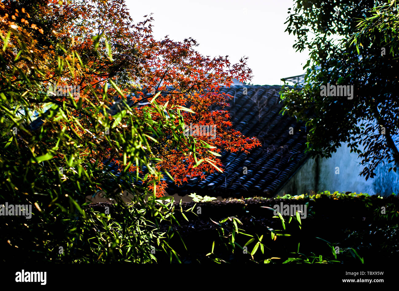 Autumn Color in Suzhou Garden Stock Photo - Alamy
