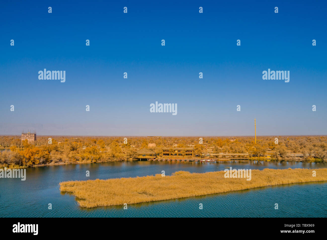 Poplar Lin, lake, reflection, beautiful scenery Stock Photo - Alamy