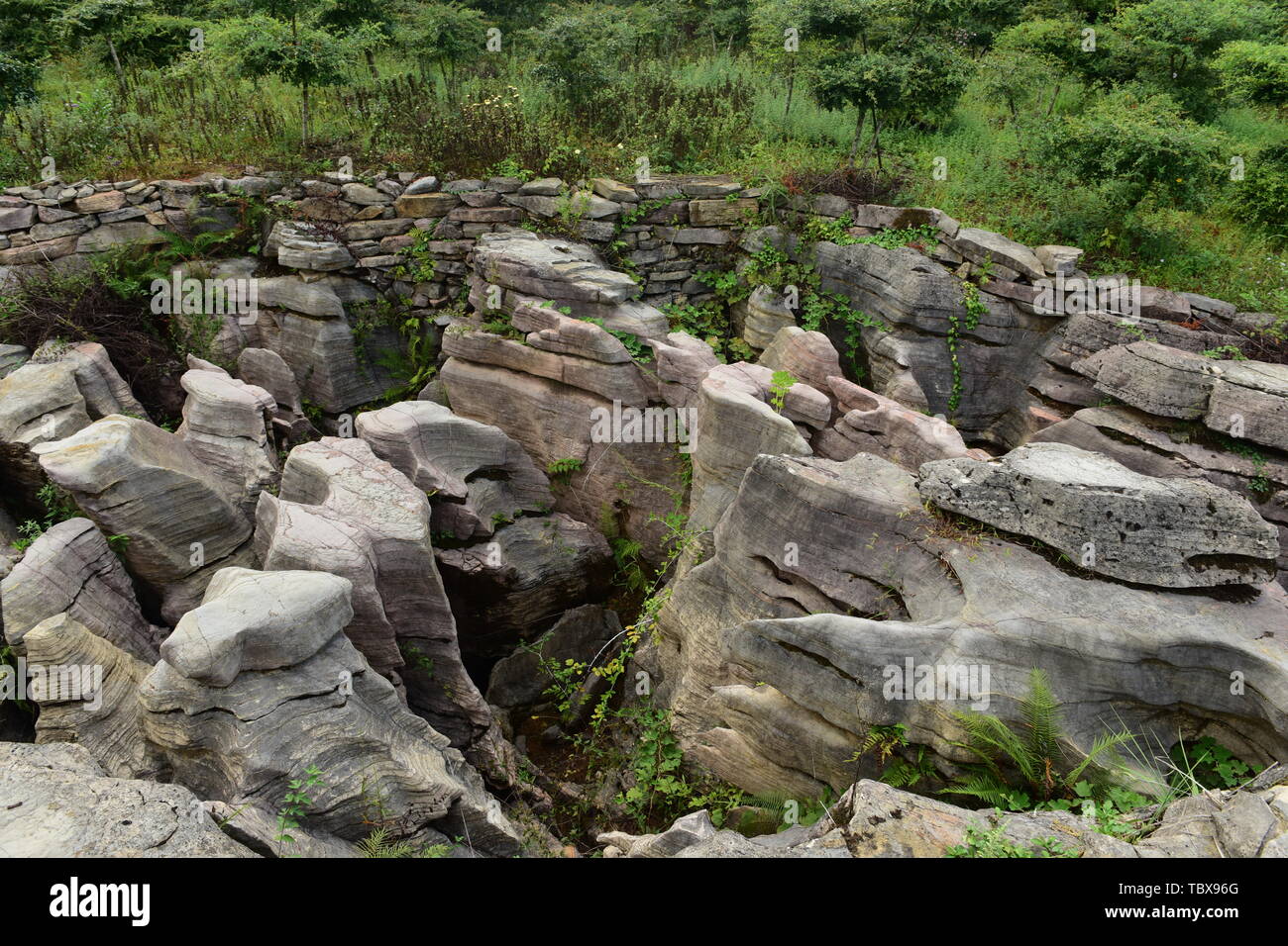 Shilin county hi-res stock photography and images - Alamy