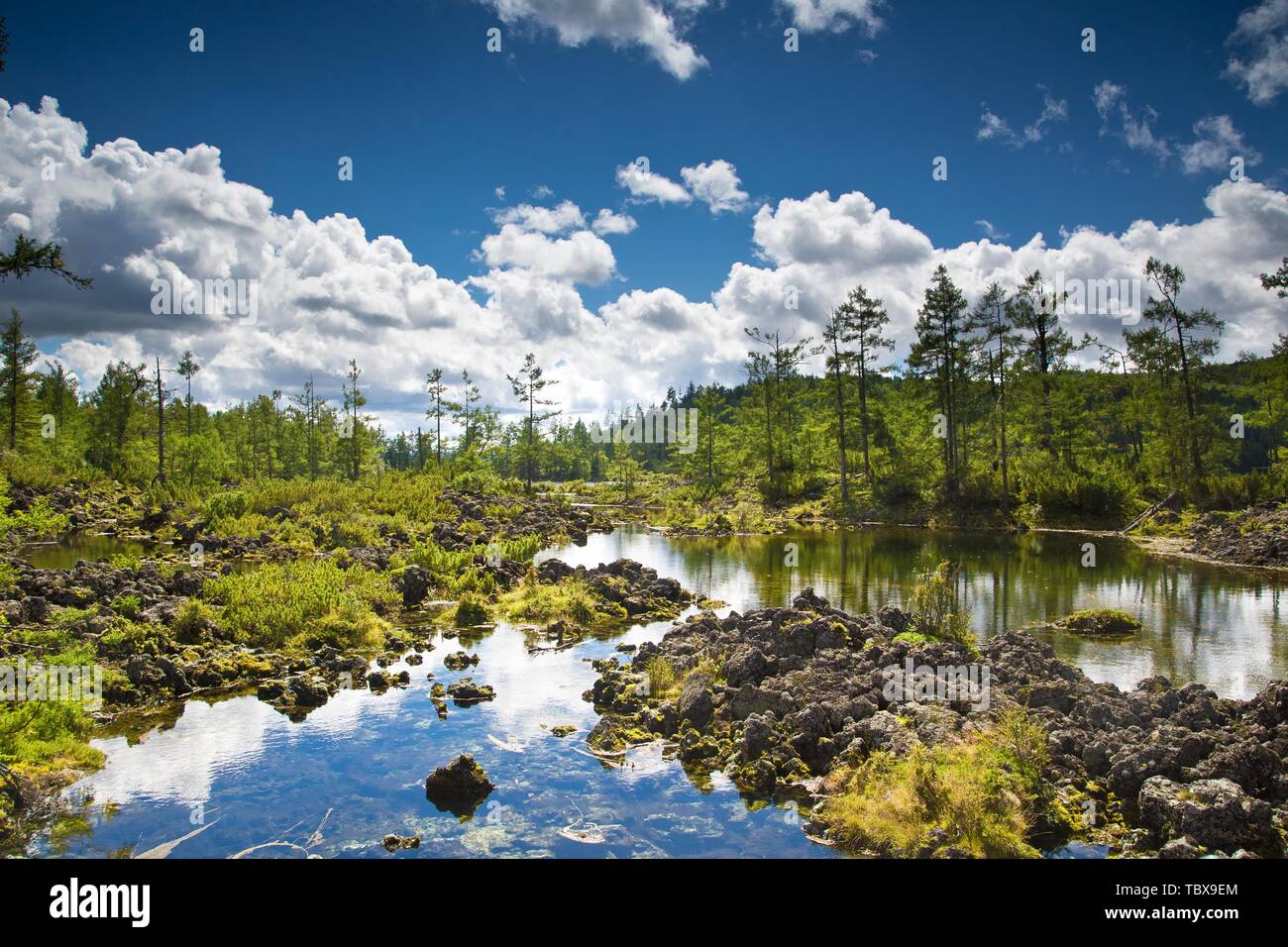 The beautiful Hulunbuir prairie, the Mongolian prairie Stock Photo - Alamy