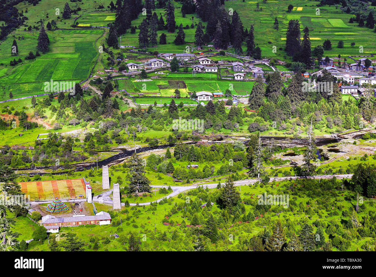 Scenery of Yingzhi Lulang Linhai, Tibet Autonomous Region, China Stock ...