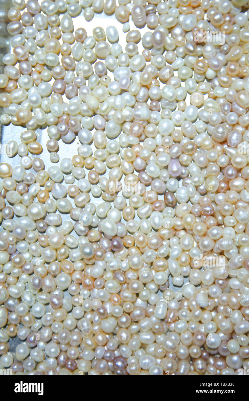 Freshwater pearls hi-res stock photography and images - Alamy