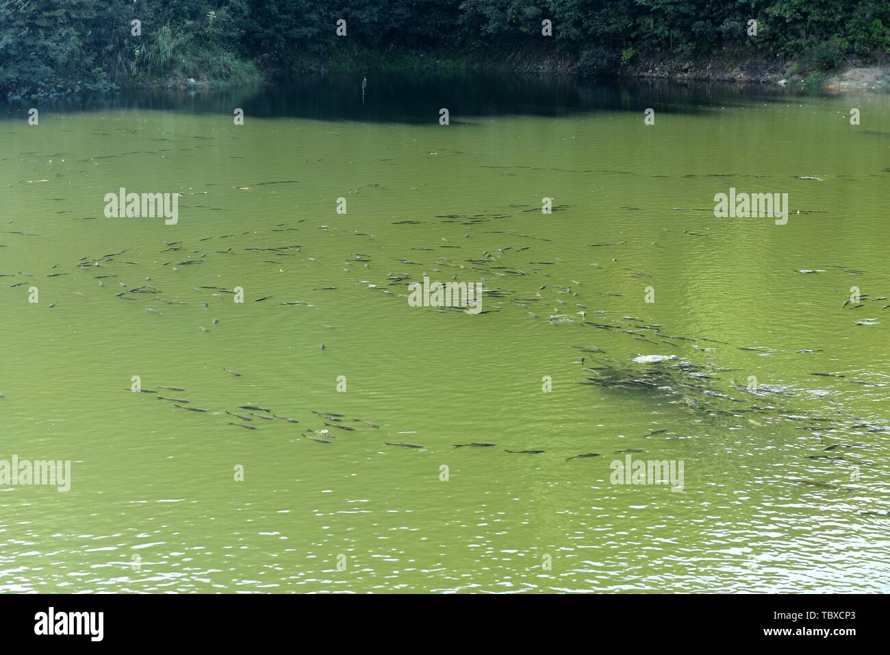 Dam mural painting hi-res stock photography and images - Alamy