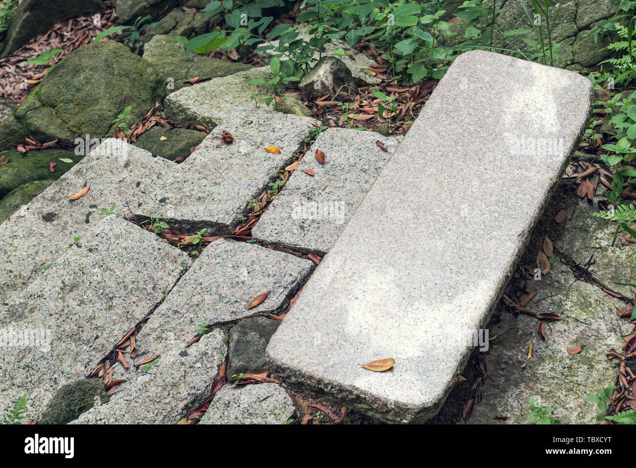 The bluestone bench in the park Stock Photo - Alamy