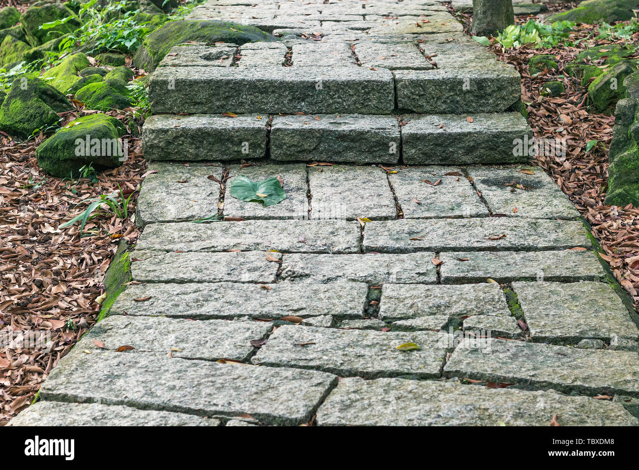 The bluestone road in the park Stock Photo - Alamy