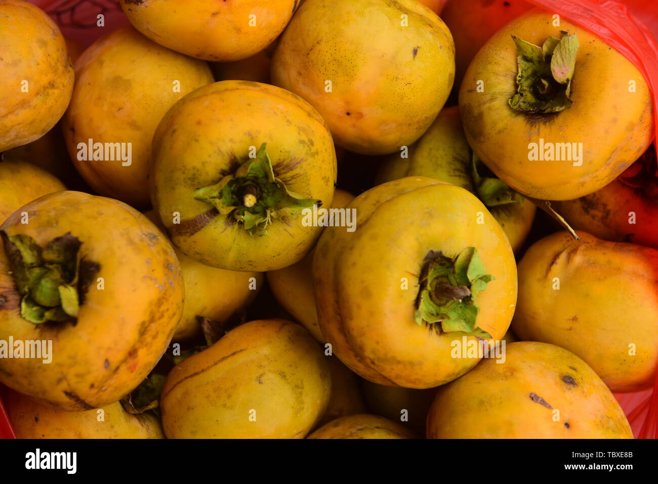 Rhubarb persimmon hi-res stock photography and images - Alamy