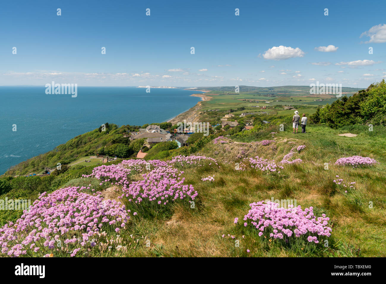 Uk england isle wight gore hi-res stock photography and images - Alamy