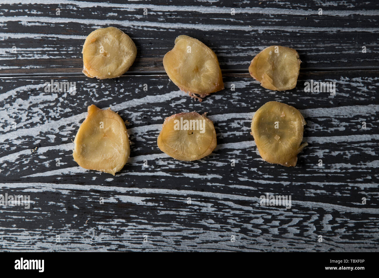 Octopus foot hi-res stock photography and images - Alamy