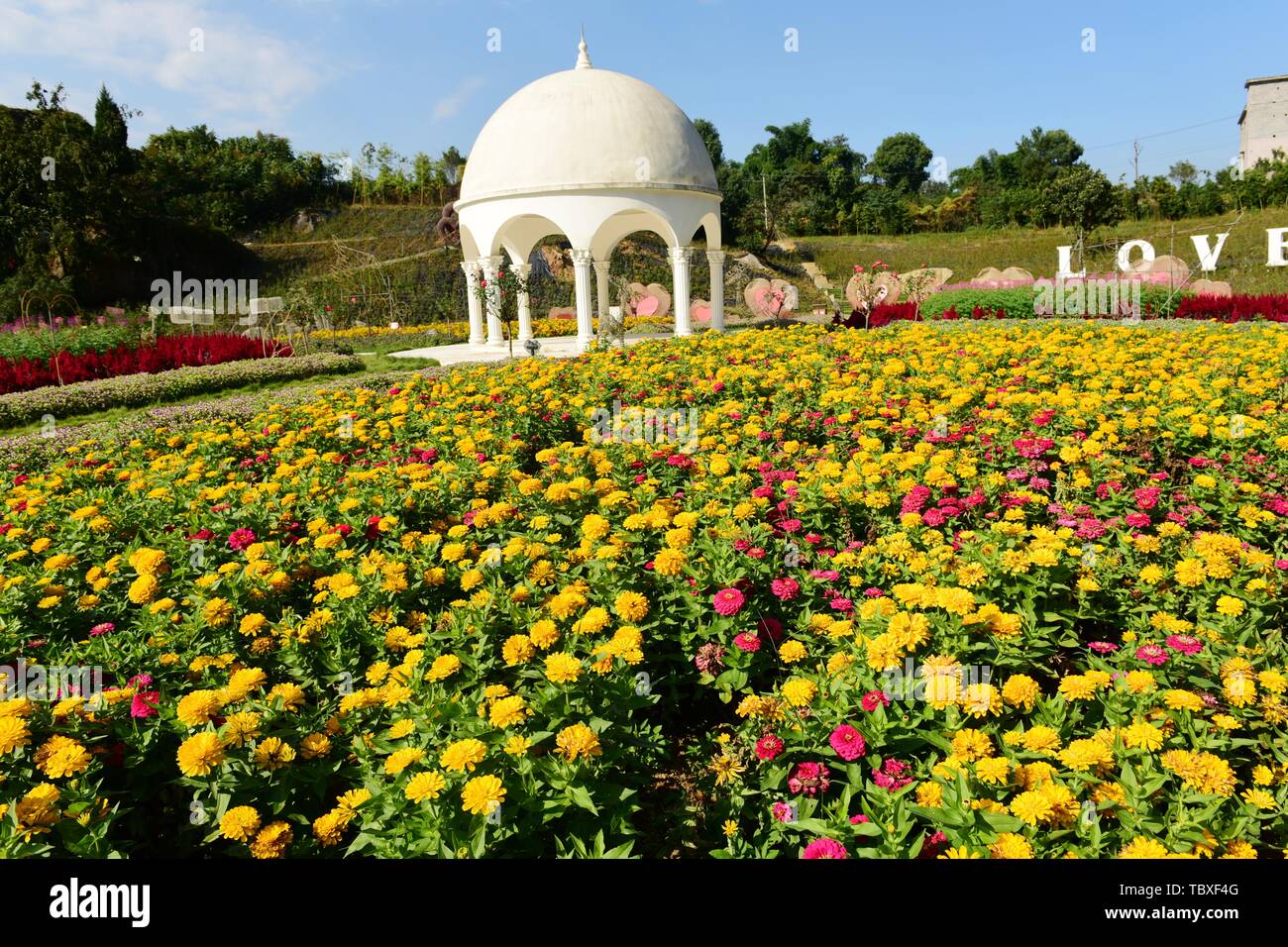 Flower Sea Promenade Stock Photo - Alamy