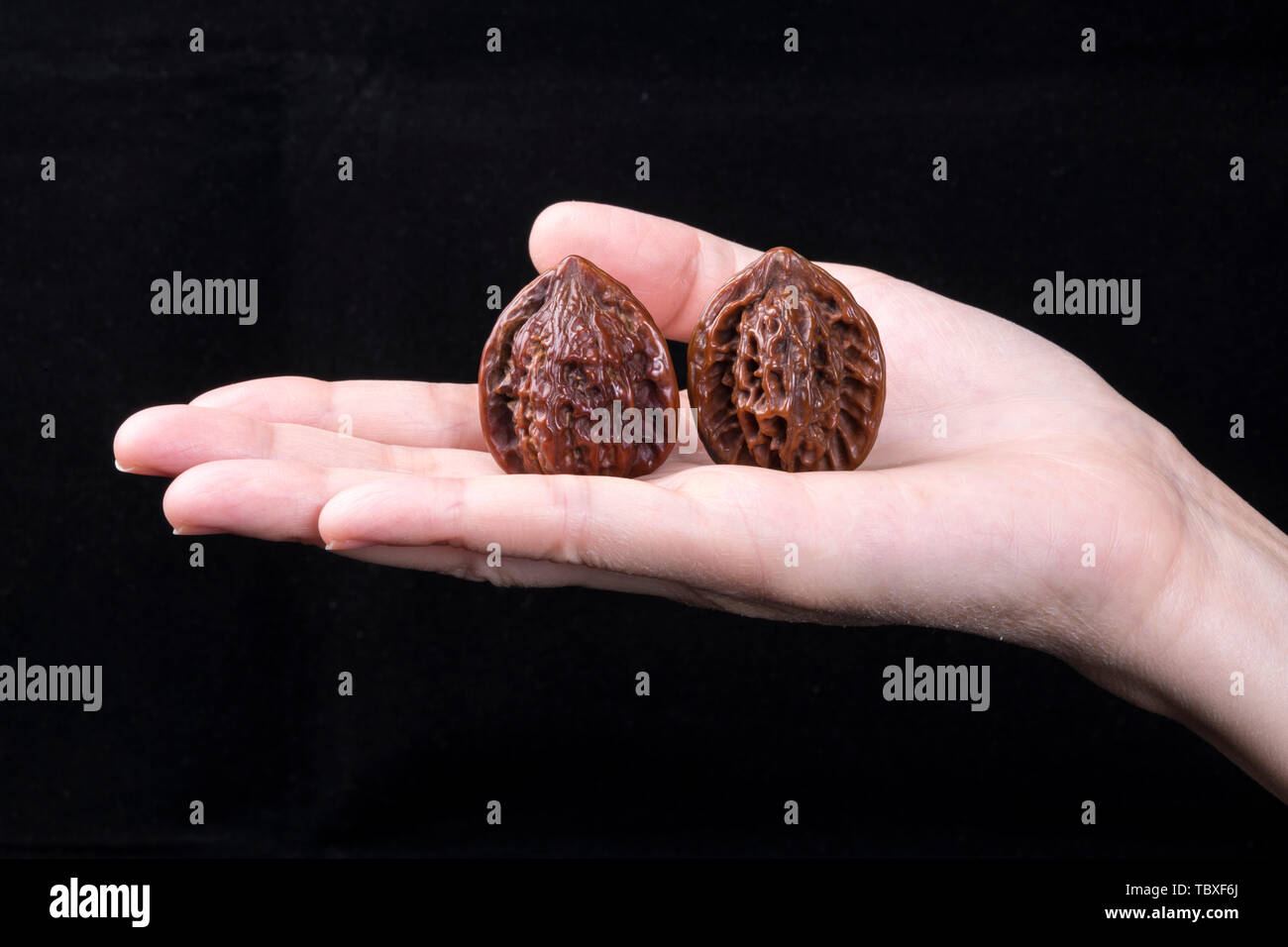 Lion head walnut hi-res stock photography and images - Alamy