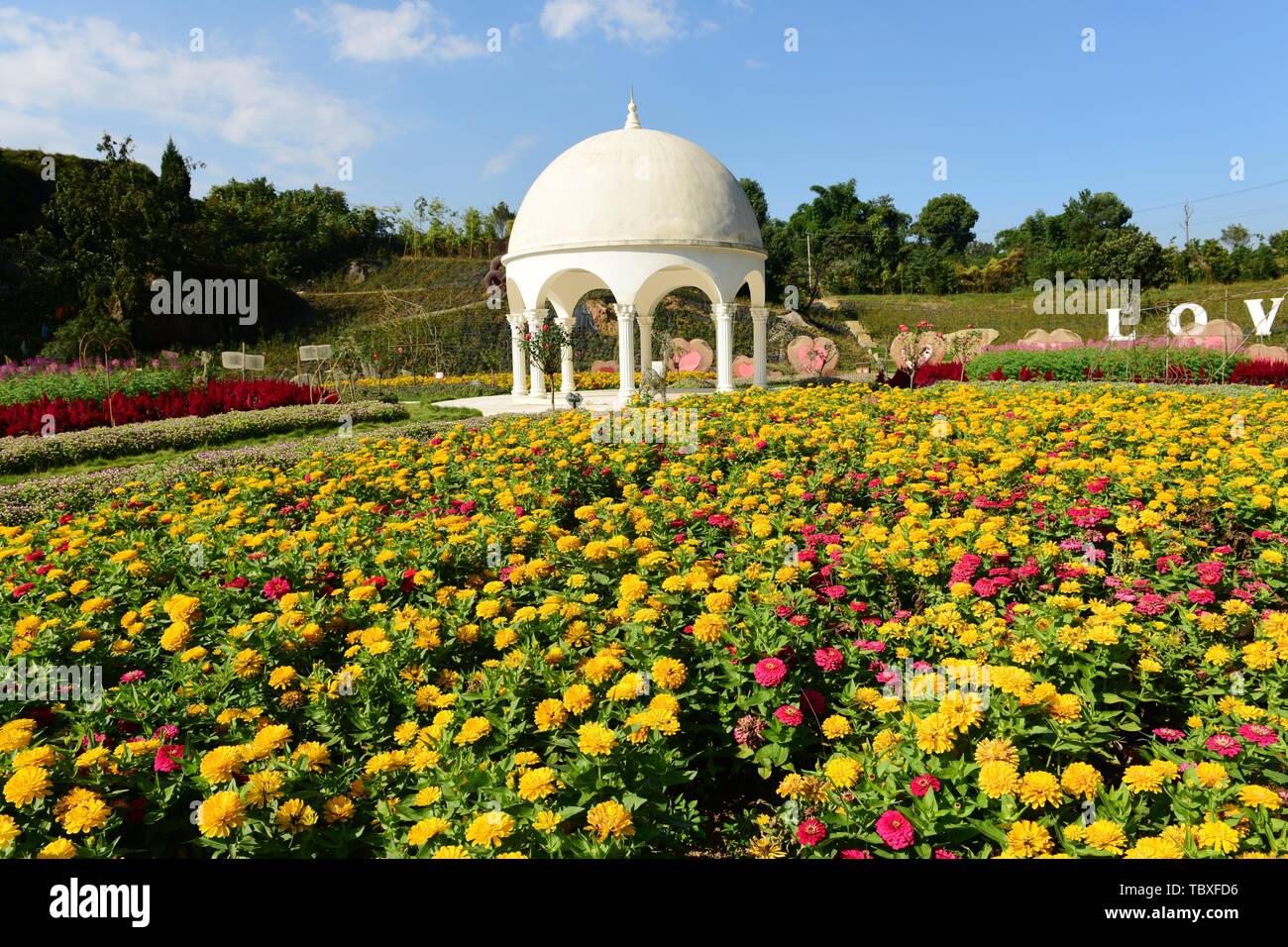 Flower Sea Promenade Stock Photo - Alamy