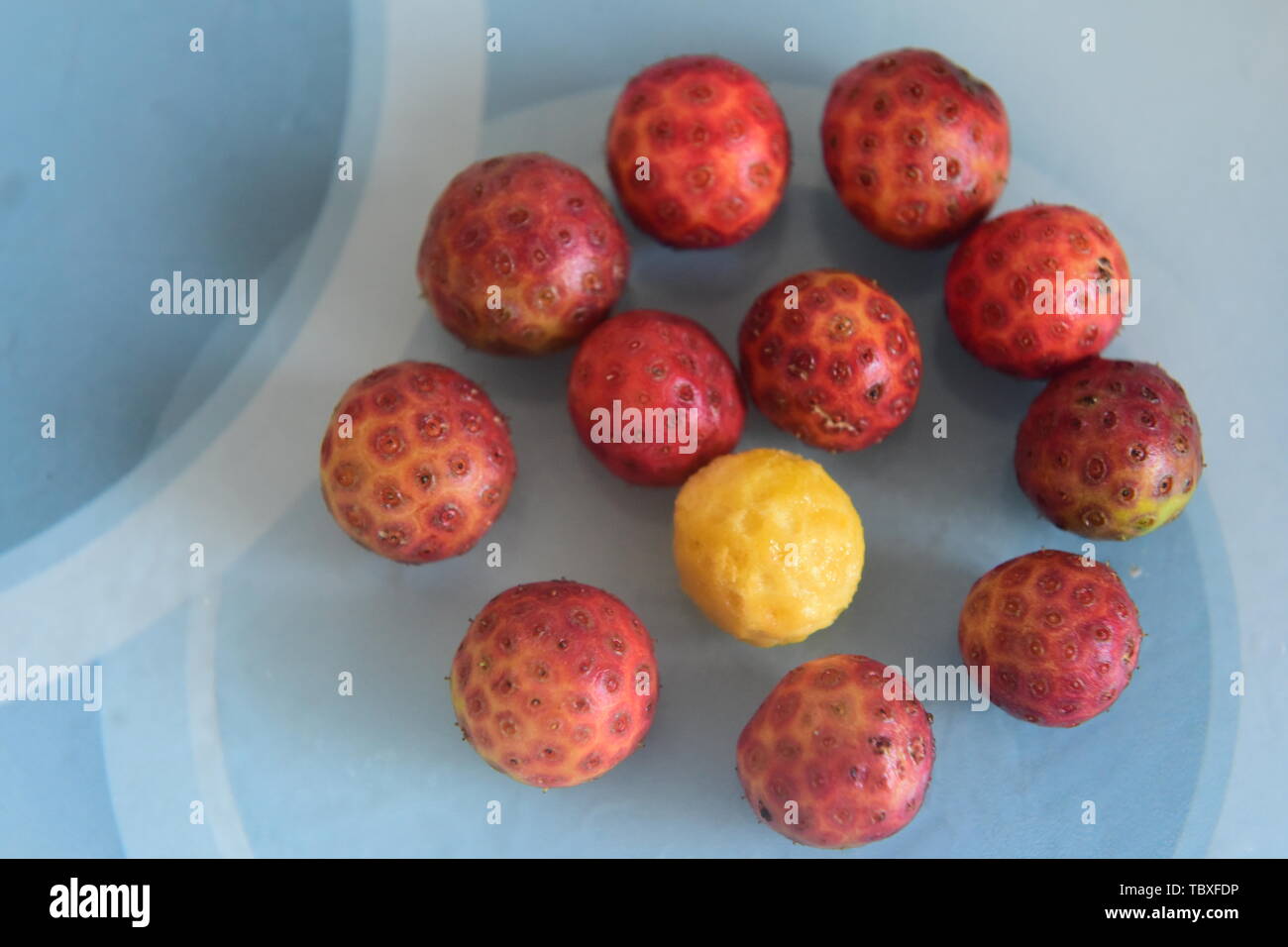 Rural wild lychee nutrition health ecological mountain goods Stock ...