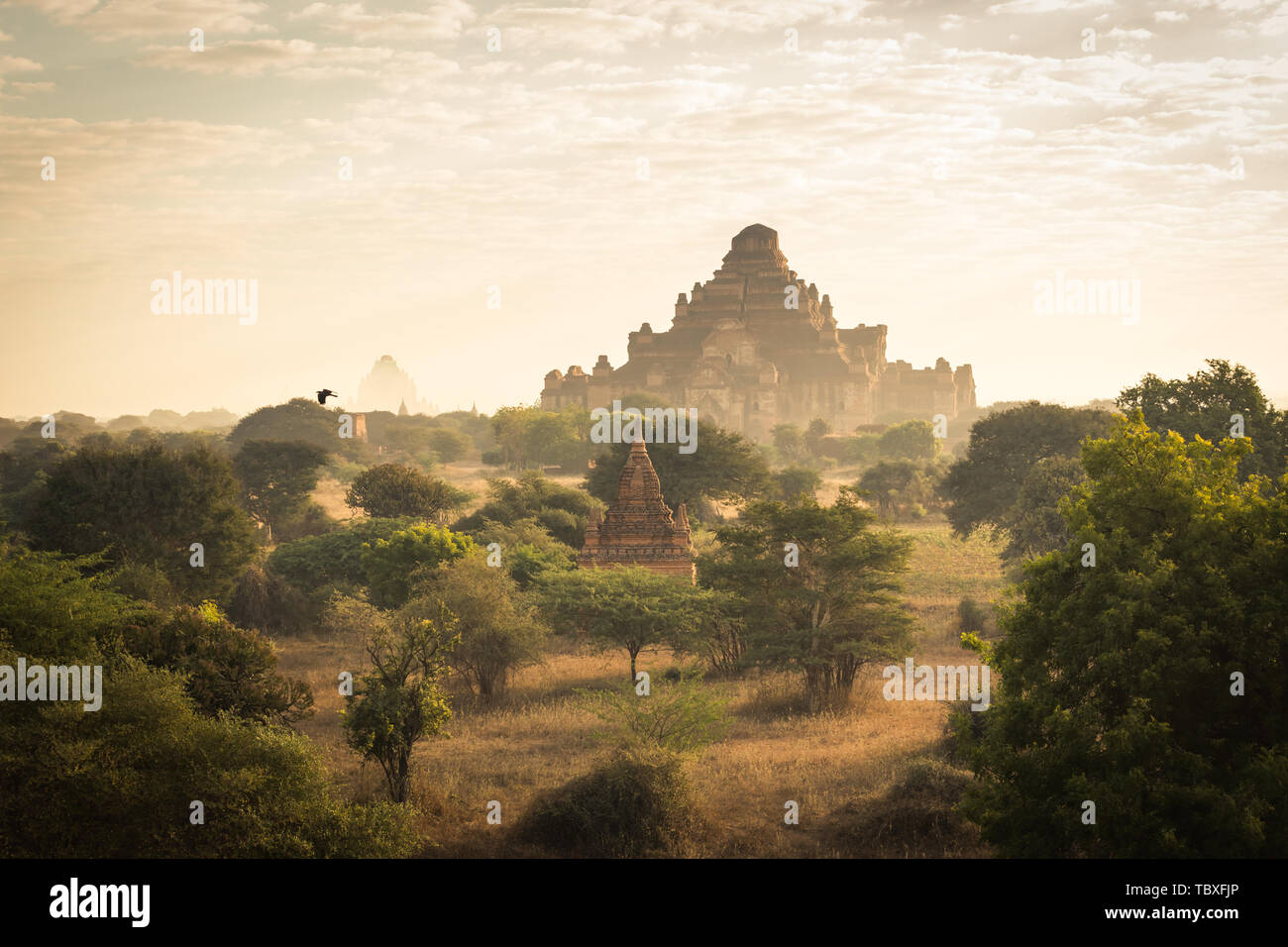 Landscape of Pagan pagoda, Myanmar Stock Photo - Alamy