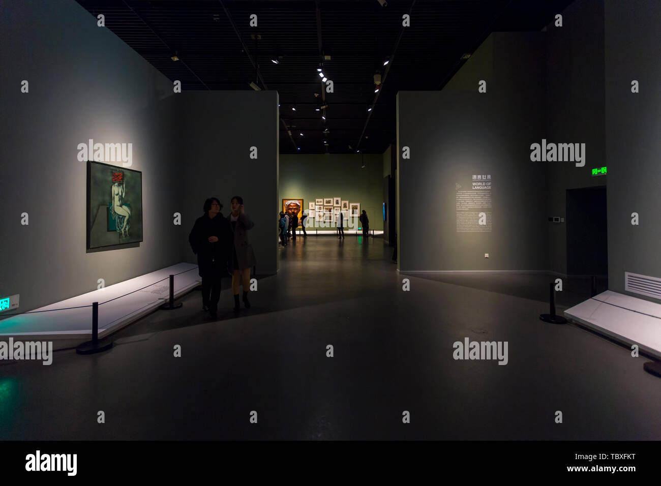 Chengdu Museum - Painting Exhibition with the Times Stock Photo - Alamy