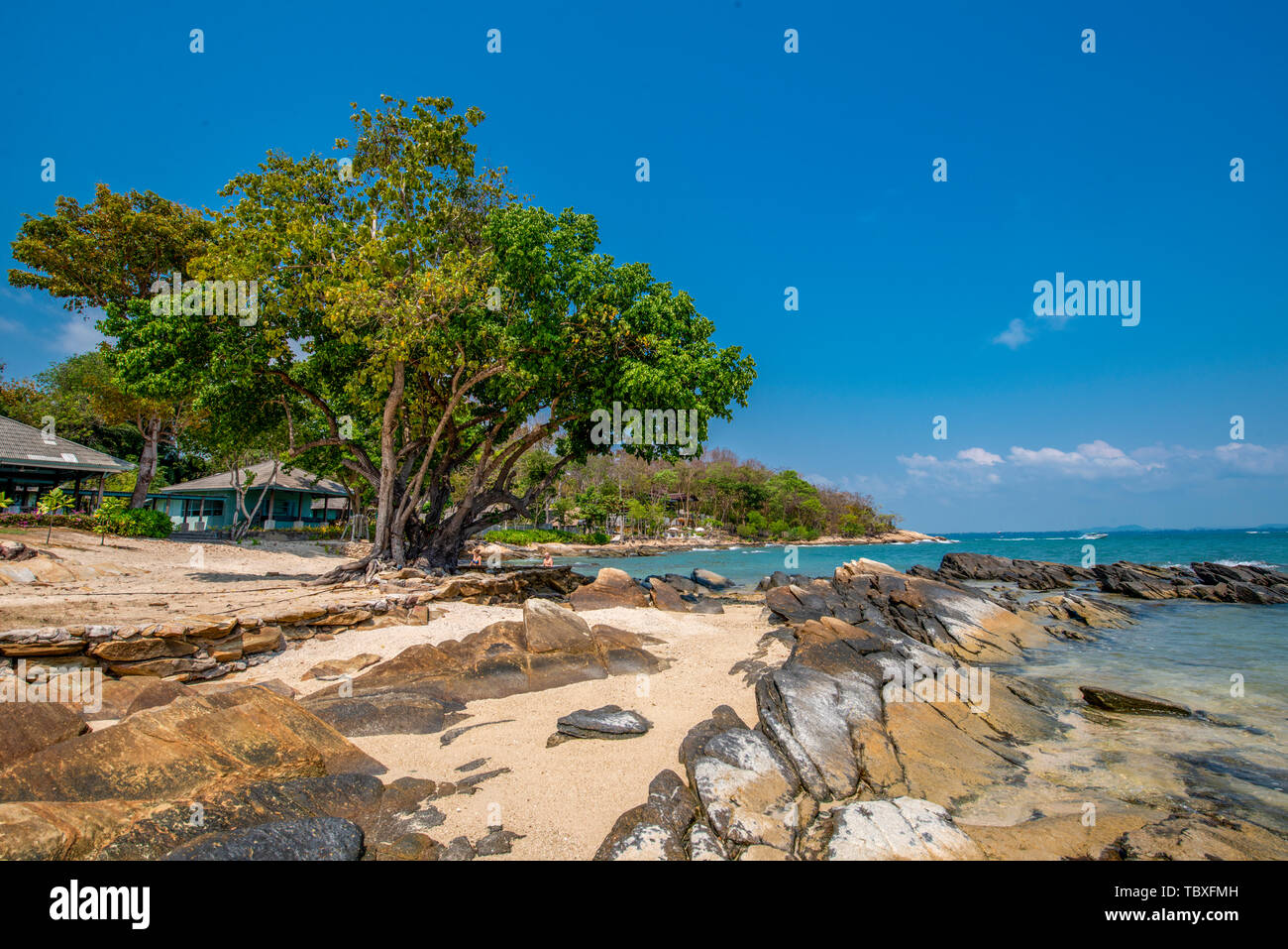 Samai High Resolution Stock Photography and Images - Alamy