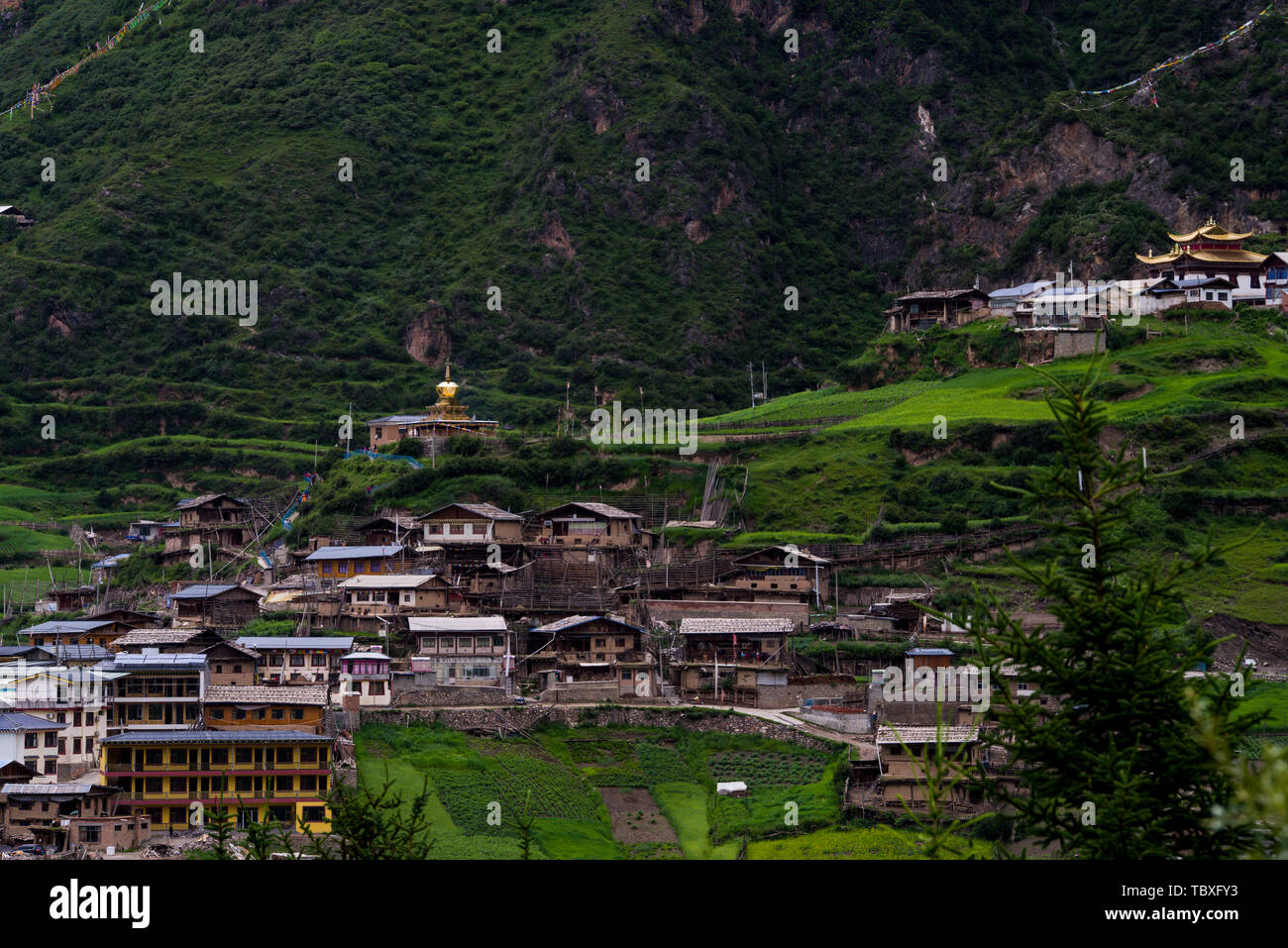 Scenery of Zagana, Gannan Stock Photo - Alamy