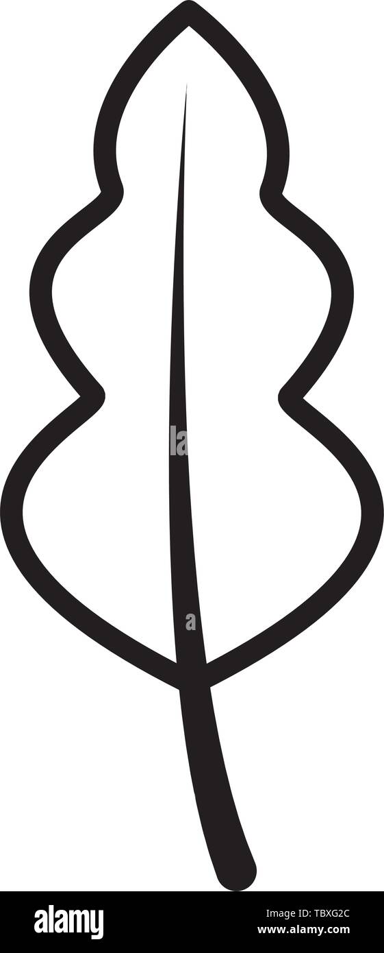 leaf botanical foliage icon linear Stock Vector Image & Art - Alamy