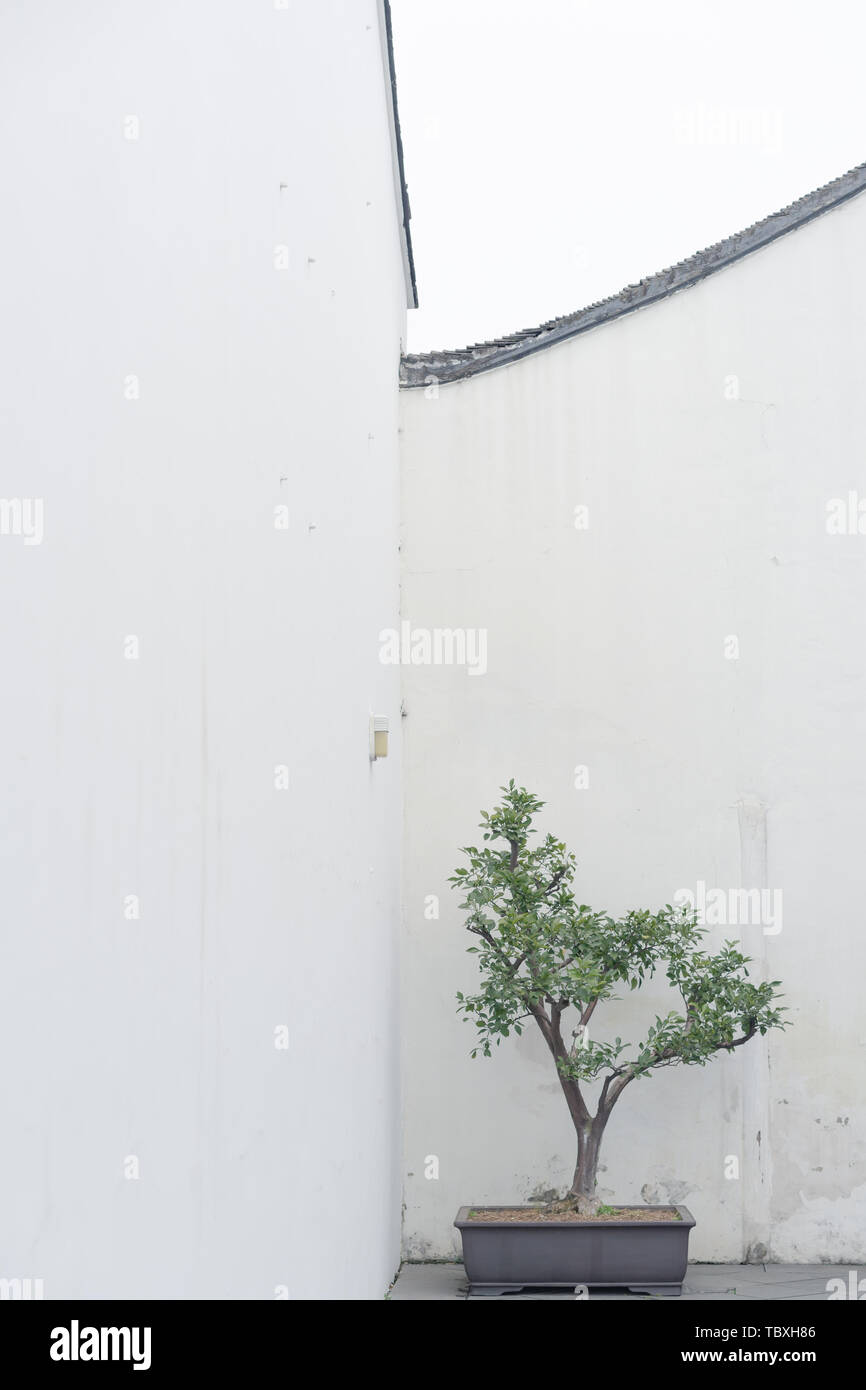A corner of the Suzhou Museum Stock Photo - Alamy