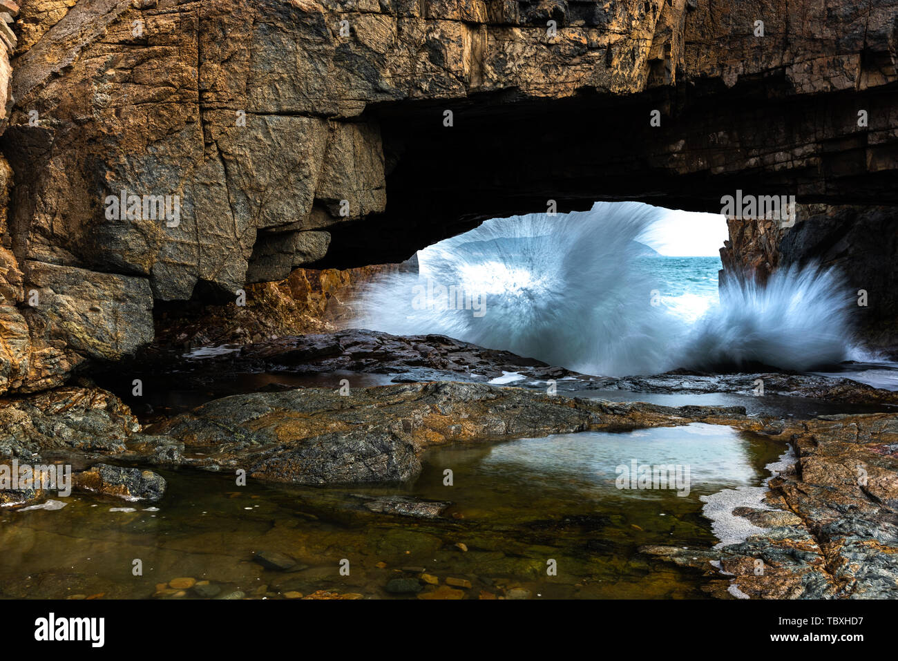 Close-up of Crane Tsui Crab Cave, Hong Kong Stock Photo - Alamy
