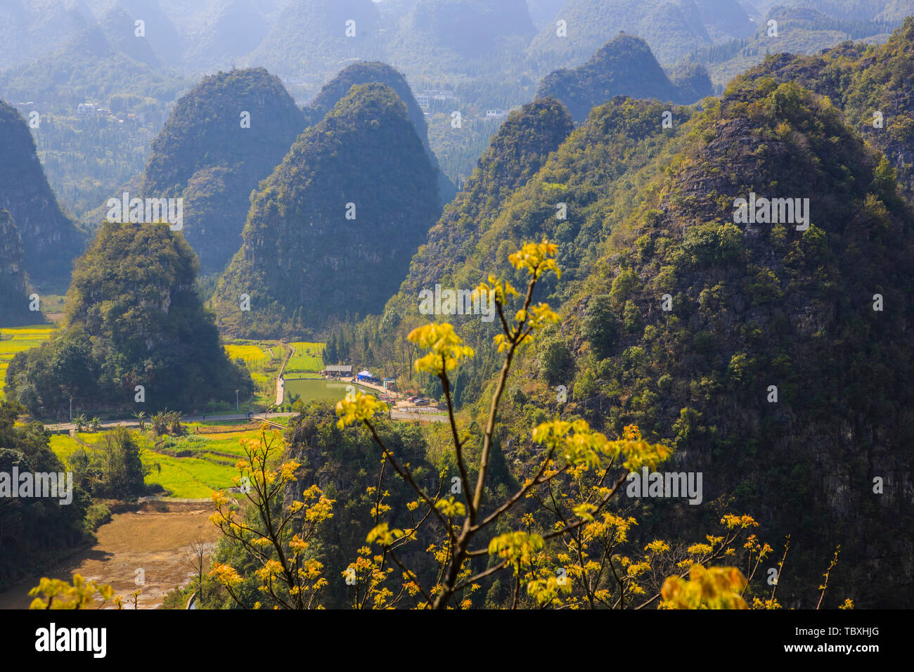 Spring color of Wanfeng forest in Xingyi, Guizhou Stock Photo - Alamy