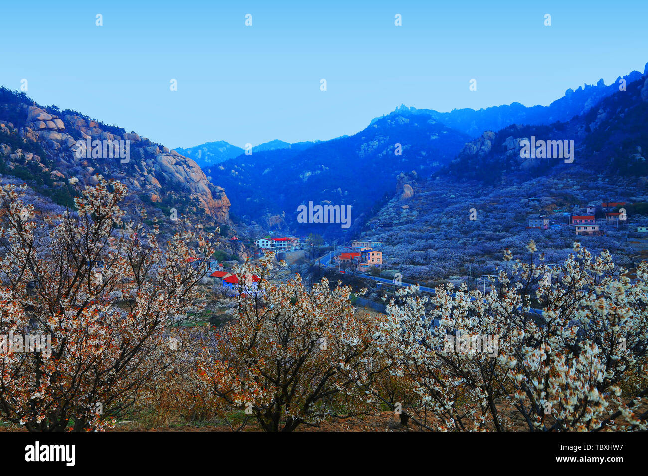 Pictures of spring tide in the mountains Stock Photo - Alamy