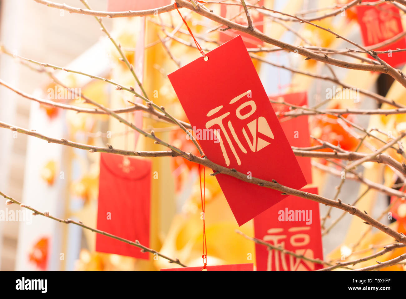 The red envelopes hanging on the peach blossom tree are sealed Stock ...