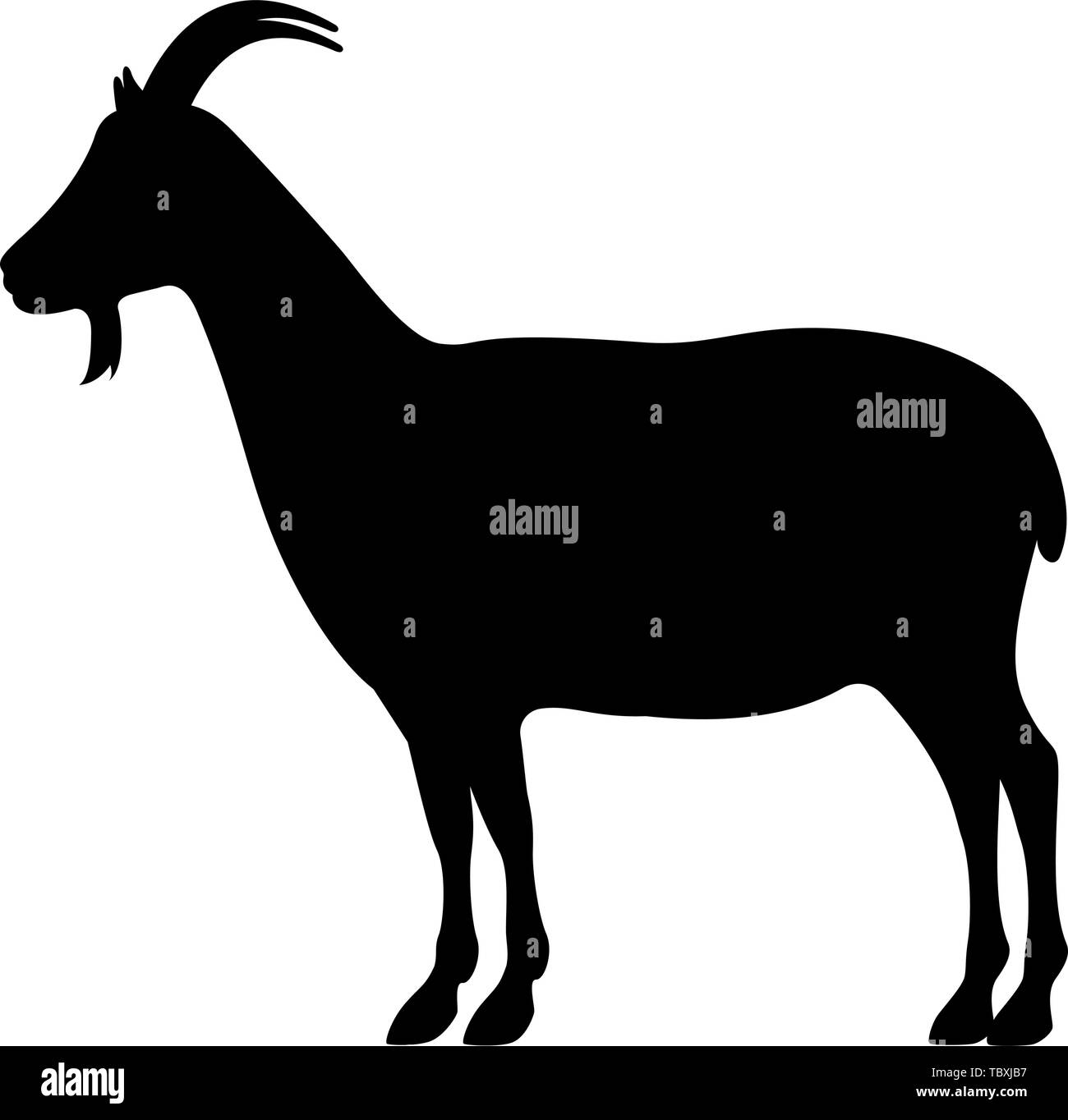 Side view of goat Stock Vector Images - Alamy