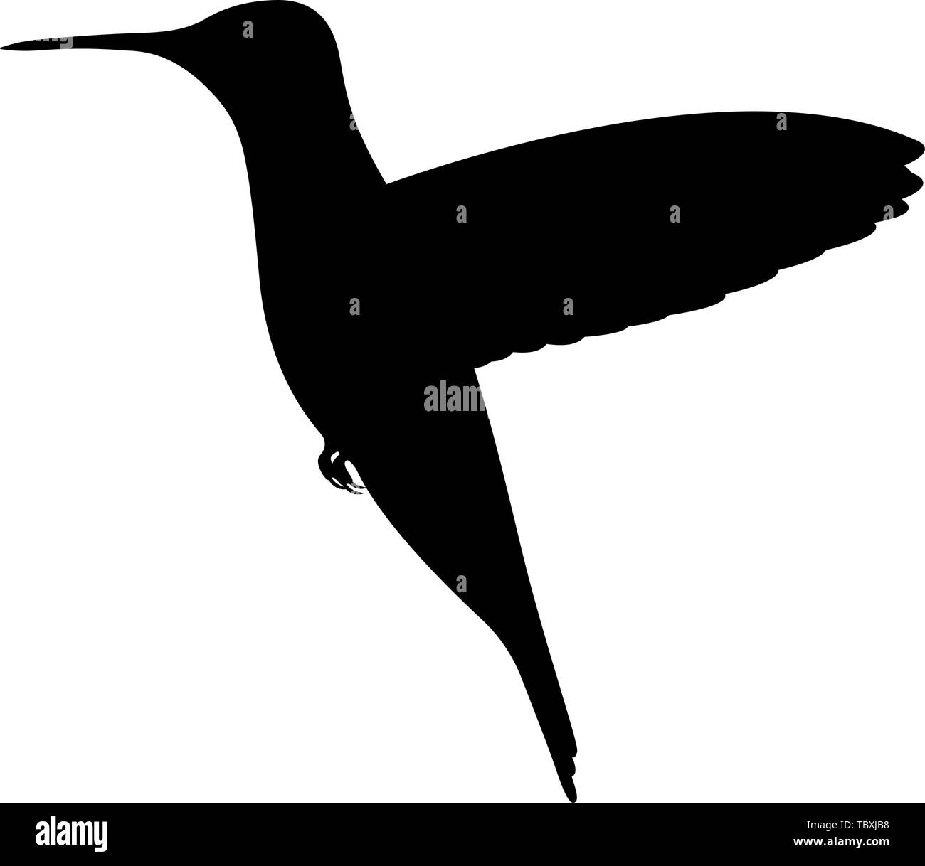 Vector illustration black silhouette hummingbird Stock Vector Image ...