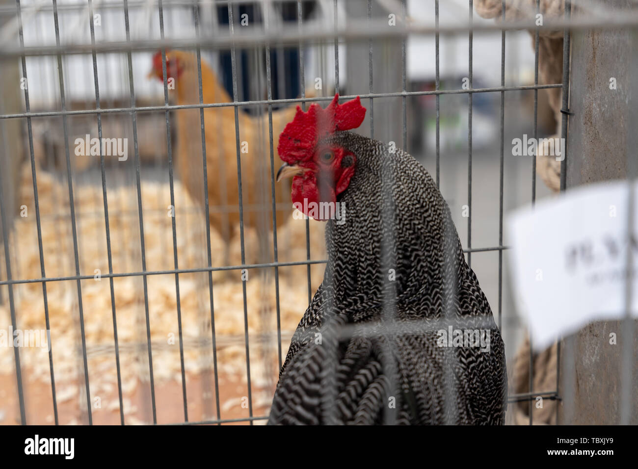 Cockrell hi-res stock photography and images - Alamy