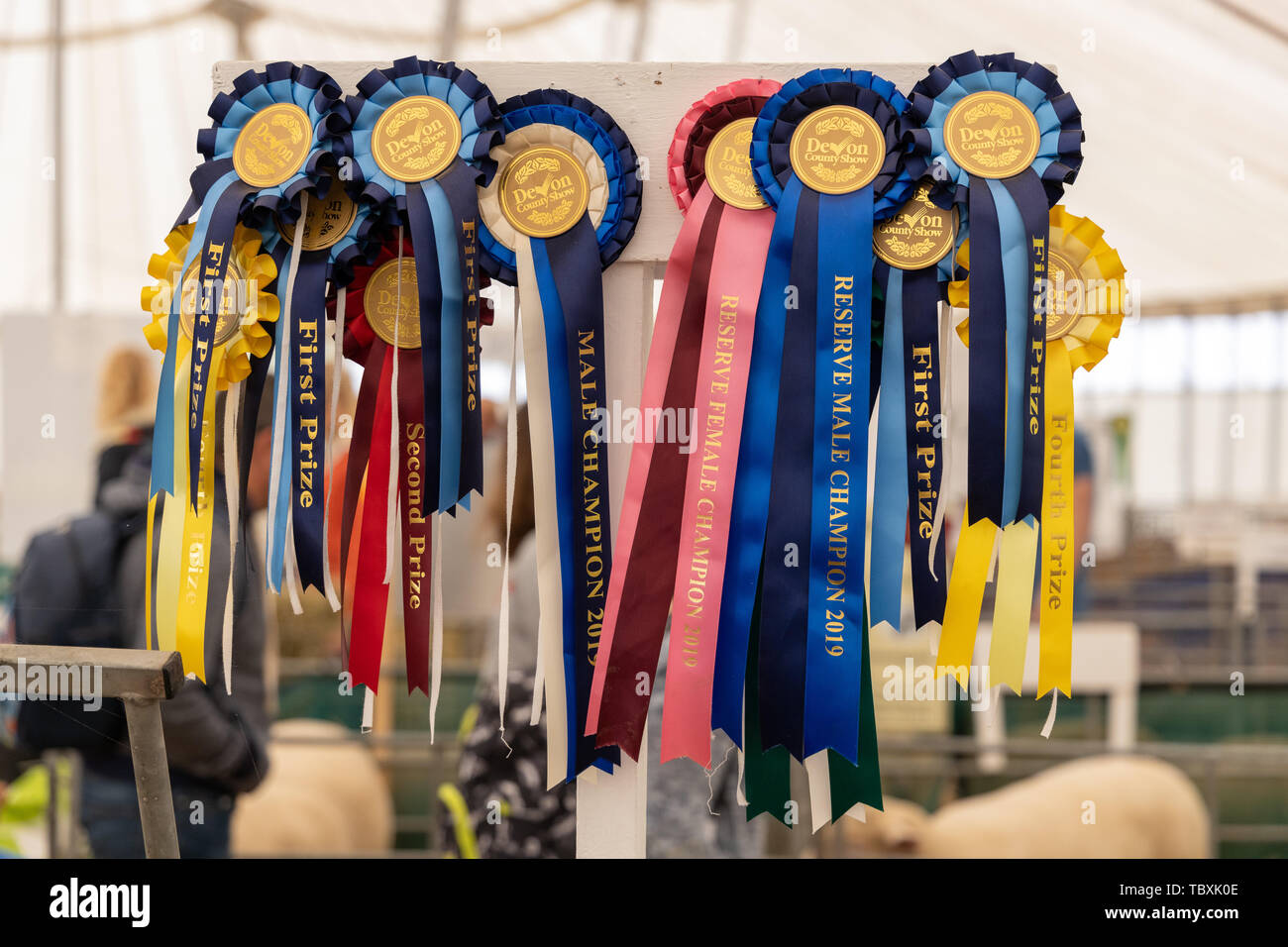 Display of rosettes at the Devon County Show Stock Photo - Alamy