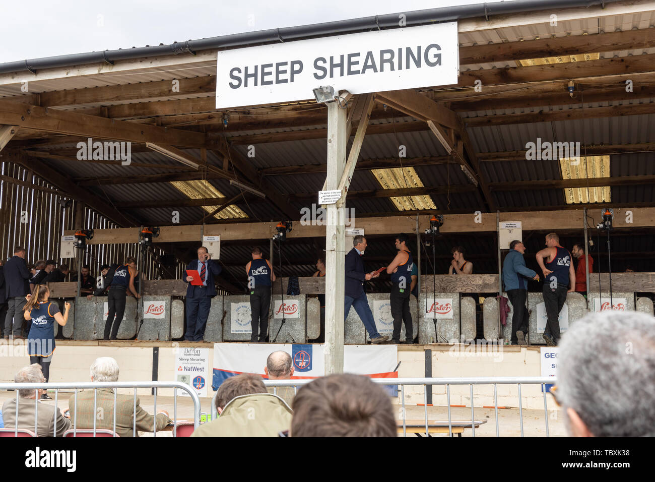 Sheep Shearing competition at the Devon County Show Stock Photo - Alamy