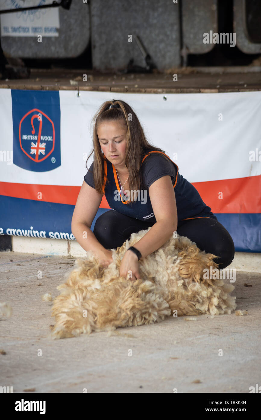Sheep Shearing competition at the Devon County Show Stock Photo - Alamy
