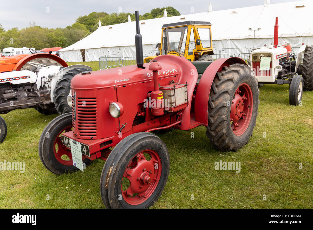 David Brown Cropmaster red tractor on display at the Devon County Show ...