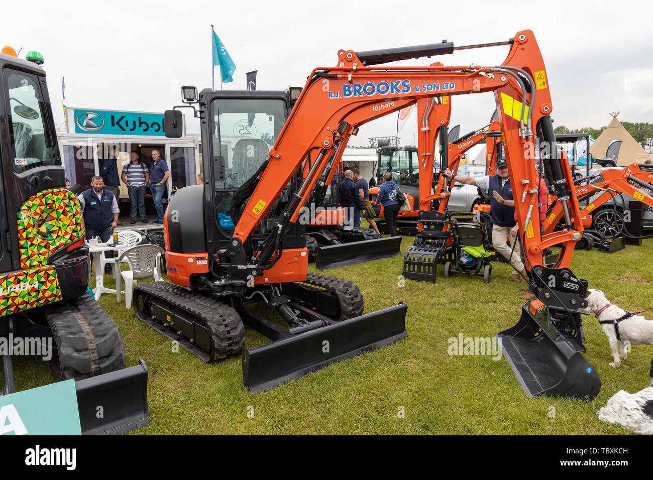 bota mini digger on show at the Devon County Show Stock Photo - Alamy