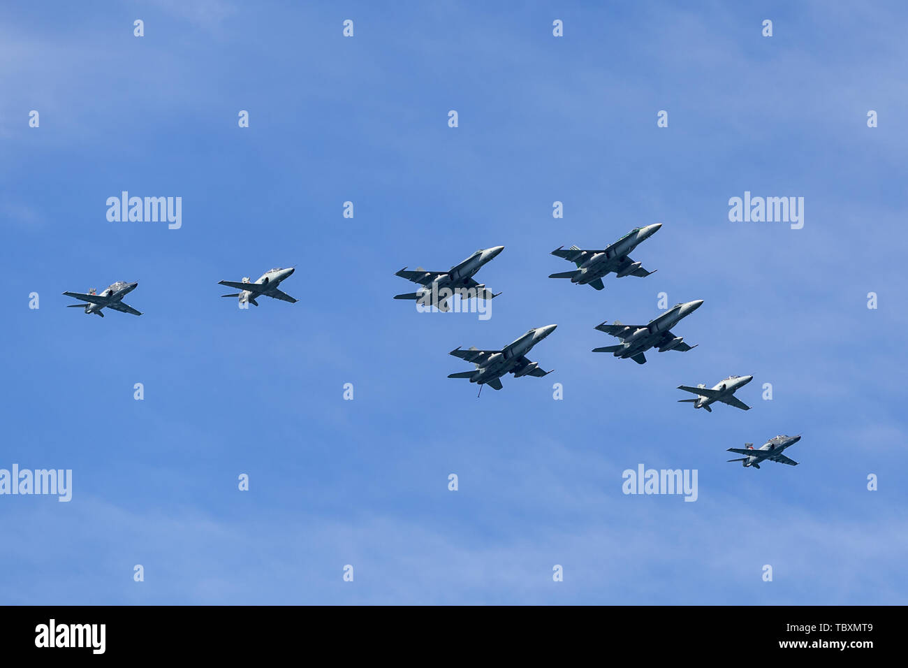 Formation of eight Royal Australian Air Force (RAAF) aircraft comprised ...