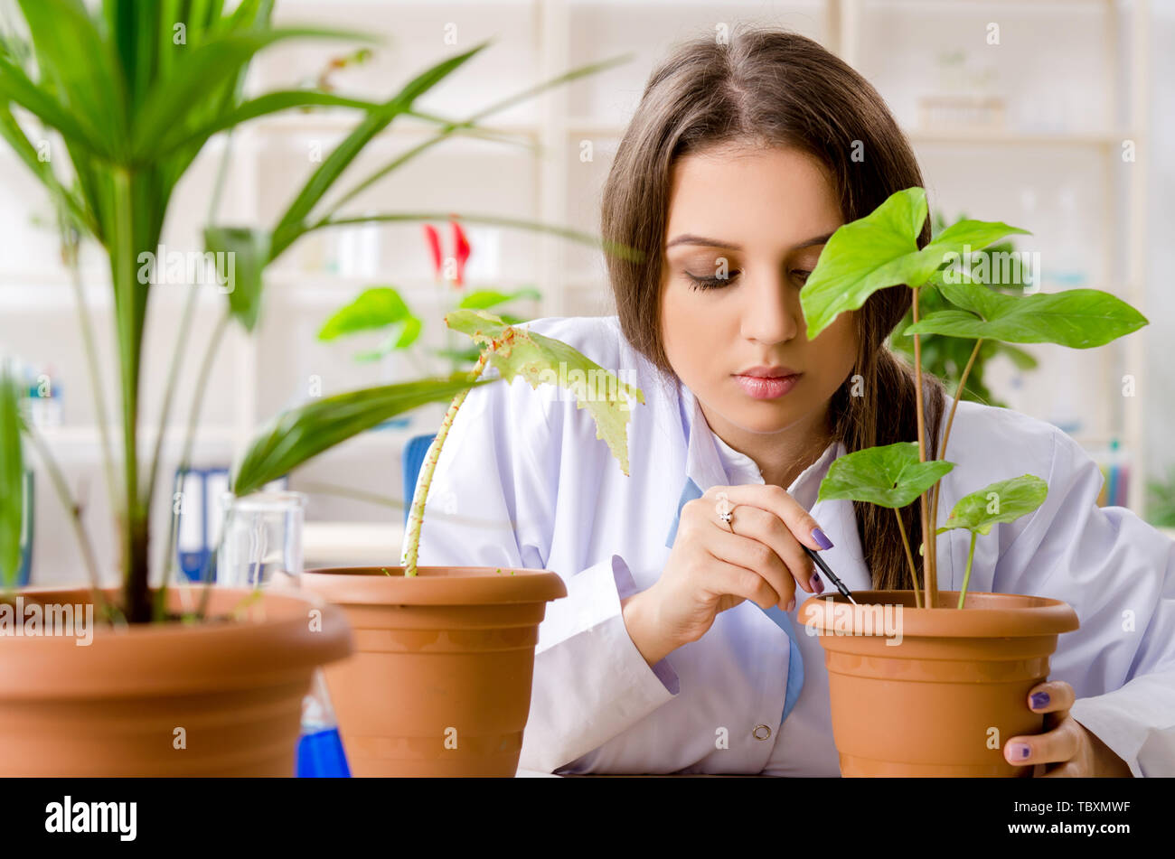 Taking soil sample hi-res stock photography and images - Alamy