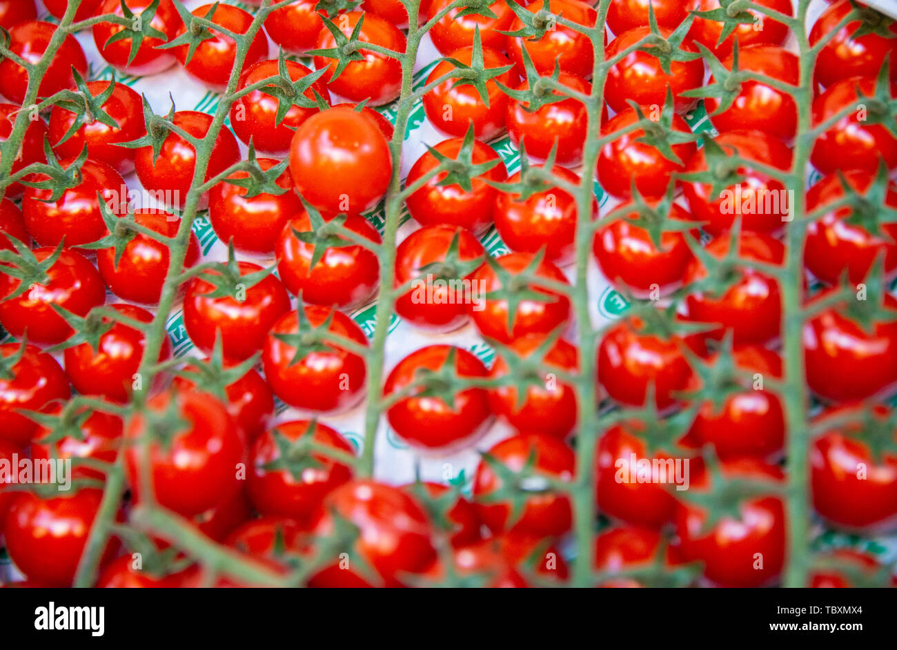 Tomatoes at the market display stall Stock Photo - Alamy