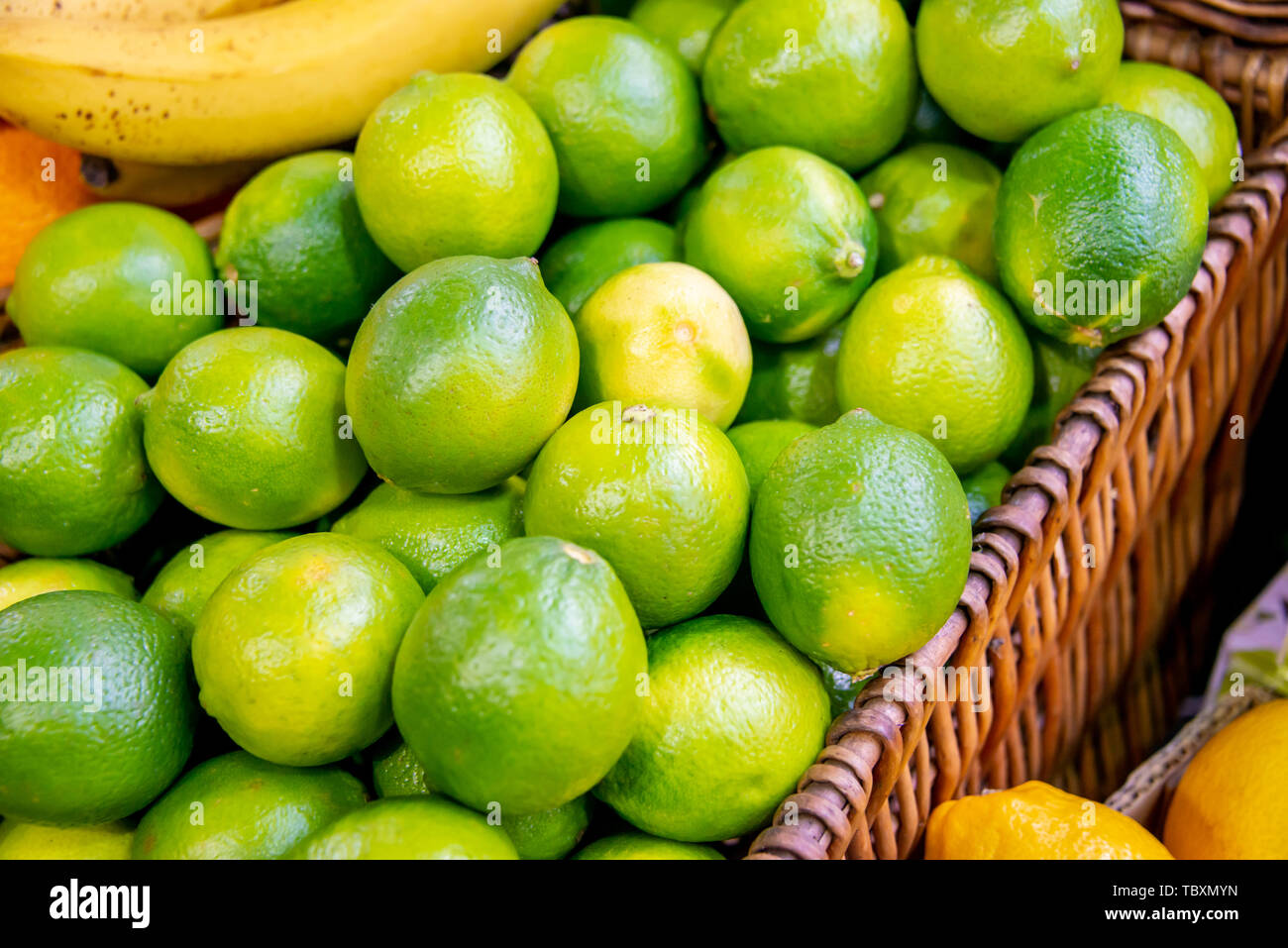 Citrus fruits at the market display stall Stock Photo - Alamy