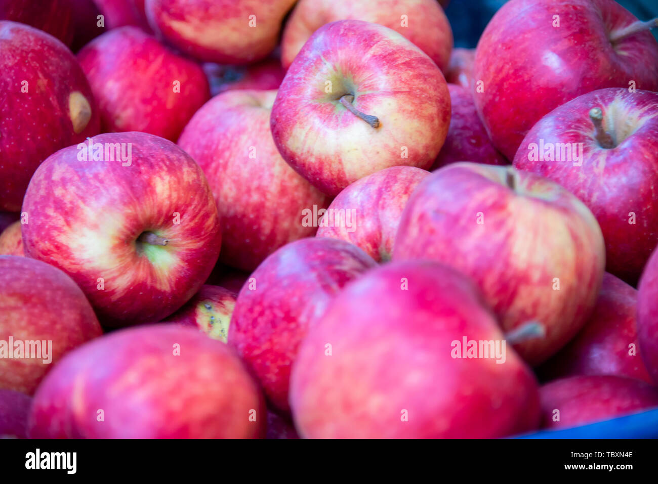 Apples at the market display stall Stock Photo - Alamy