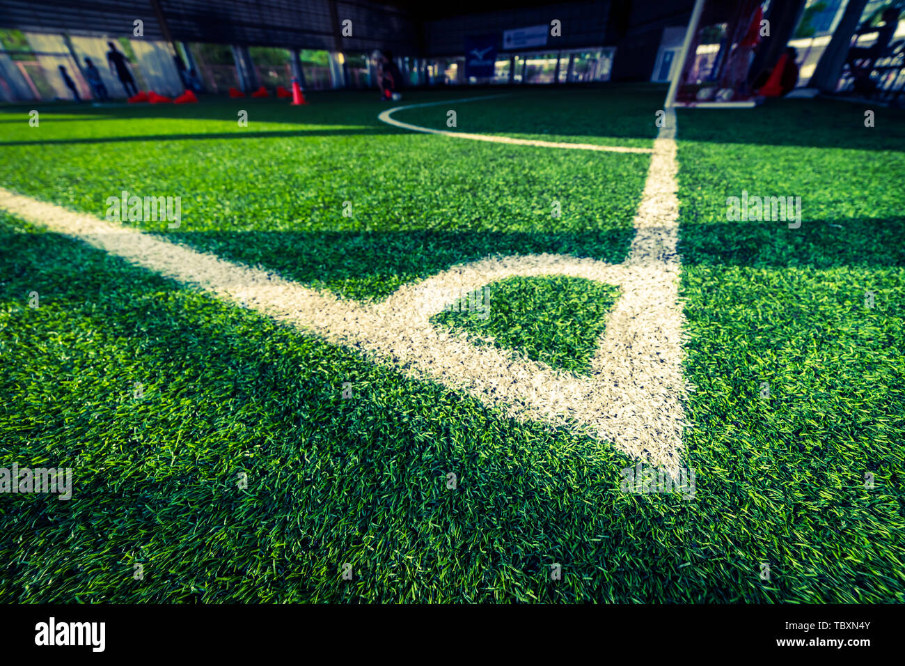 Corner Line of an indoor football soccer training field Stock Photo - Alamy